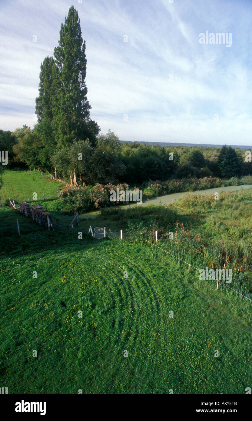Marais Vernier - Normandy - France Rural scene Stock Photo - Alamy