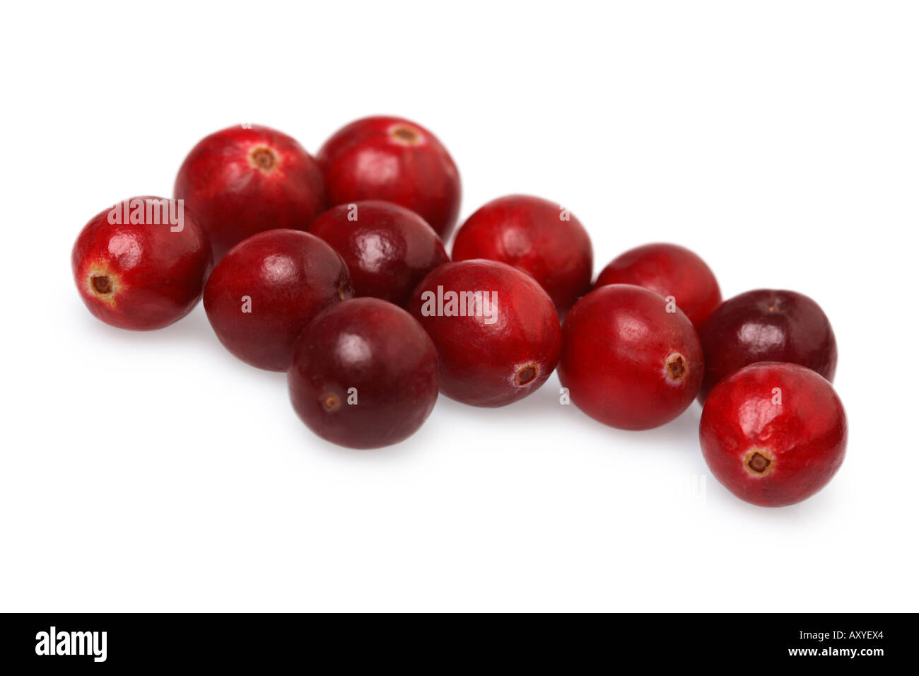 Cranberries ripen hi-res stock photography and images - Alamy