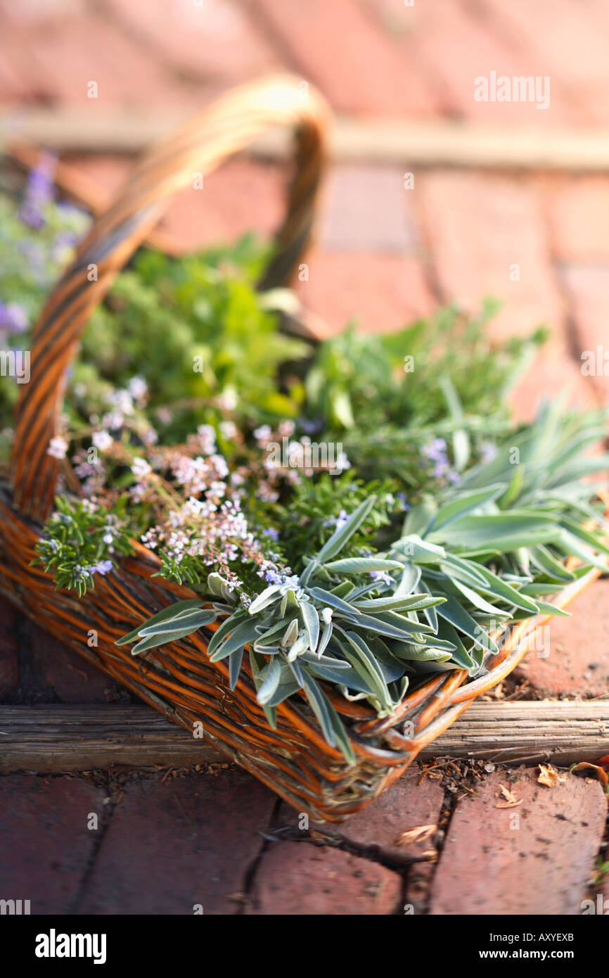 Herb garden basket hi-res stock photography and images - Alamy
