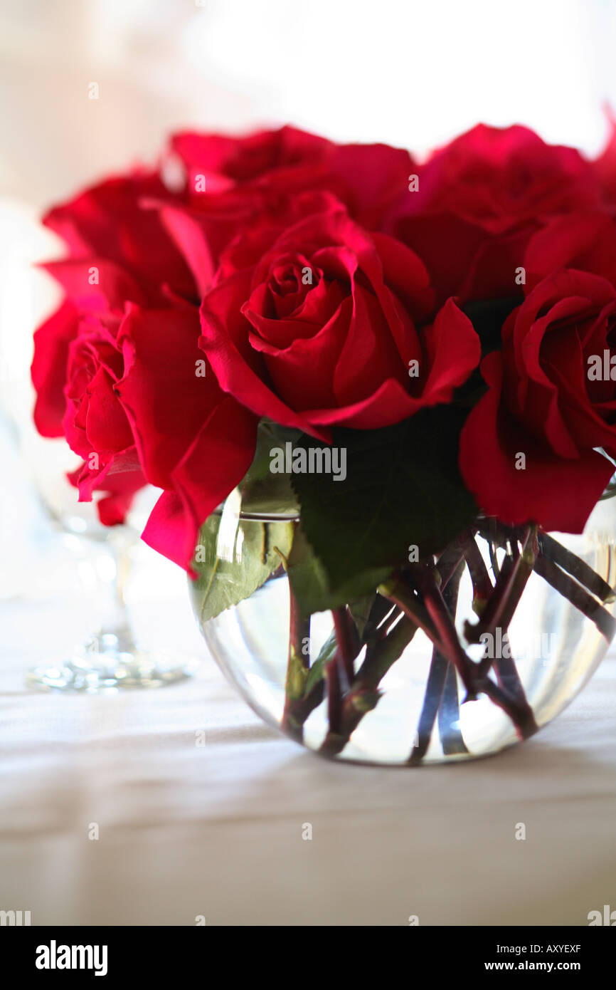 The vase hi-res stock photography and images - Alamy