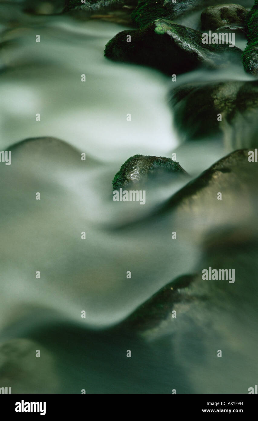 Close-up of water over rocks, Great Smoky Mountains National Park ...