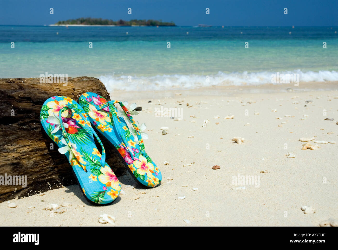 Pair of sandals flip flops on tropical beach blue sky tropics Stock ...