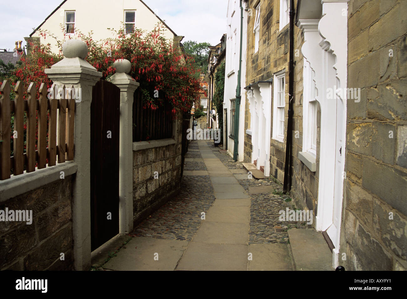 Street view robin hoods bay hi-res stock photography and images - Alamy