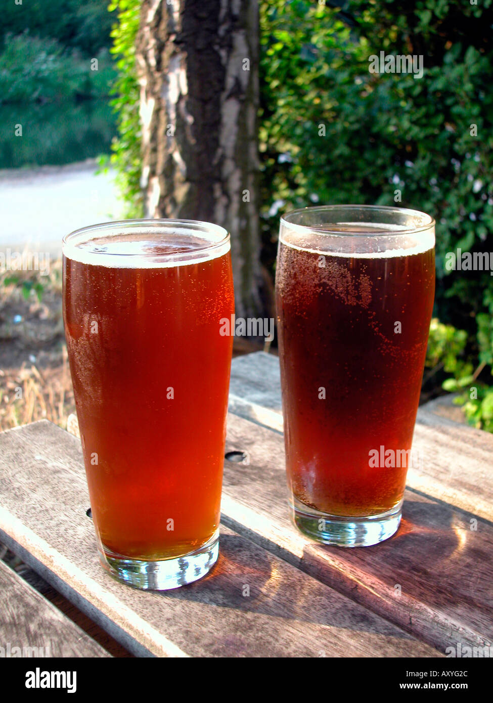 Pints of beer in garden hi-res stock photography and images - Alamy