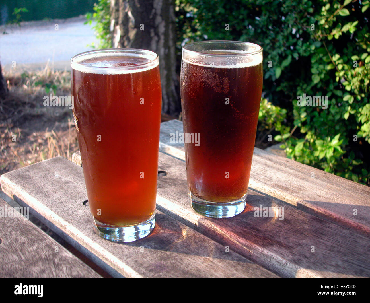Two pints of beer in a pub beer garden Stock Photo - Alamy