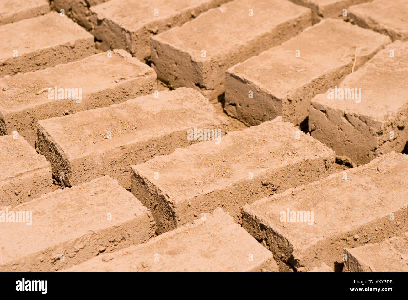 Mud bricks in Kilombero Valley Tanzania Stock Photo - Alamy