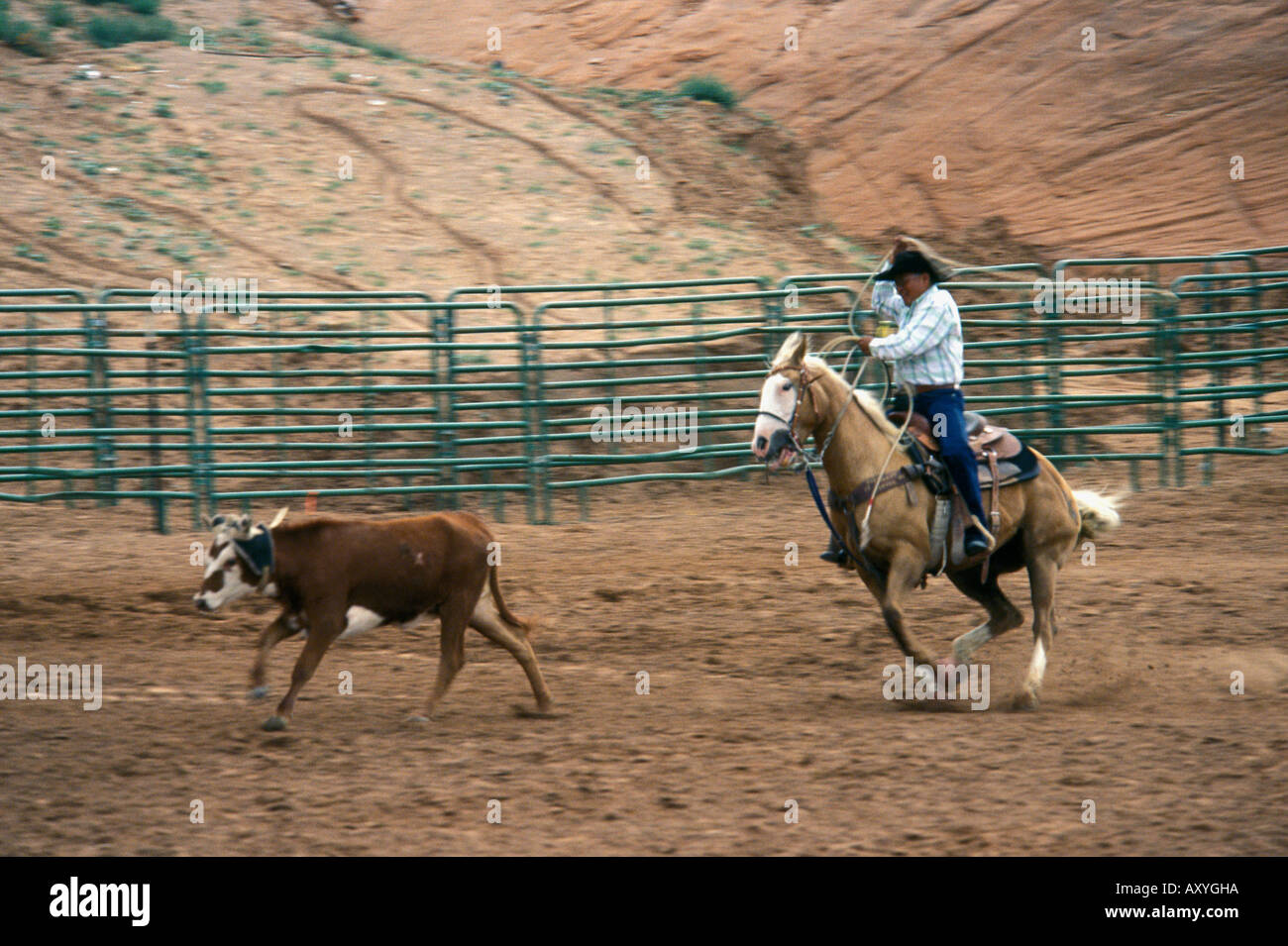 Indian lassoing horse hi-res stock photography and images - Alamy