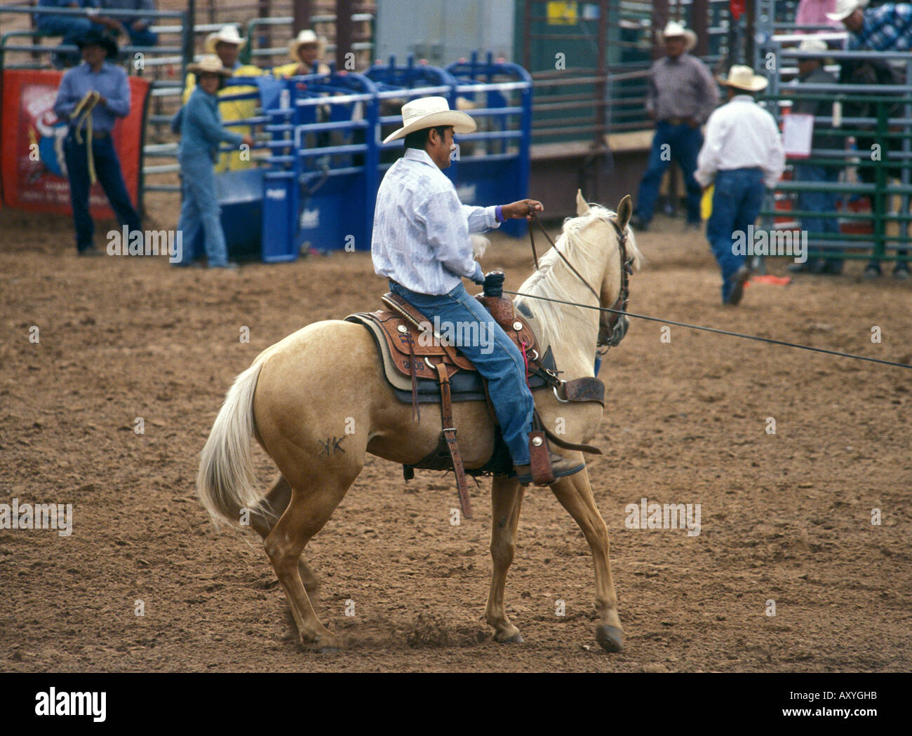 Indian riding a horse hi-res stock photography and images - Alamy