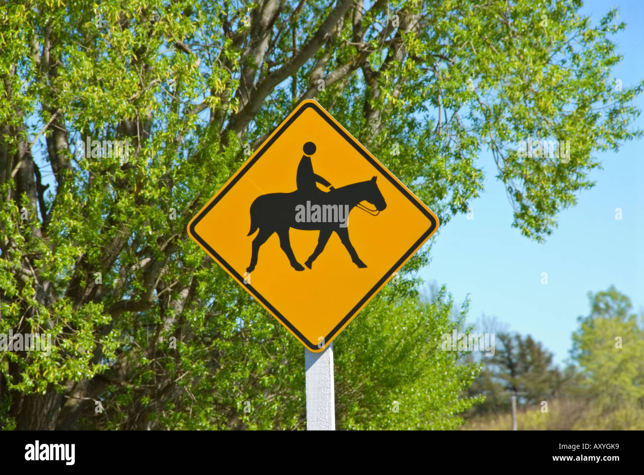 Horse and rider warning sign Stock Photo - Alamy