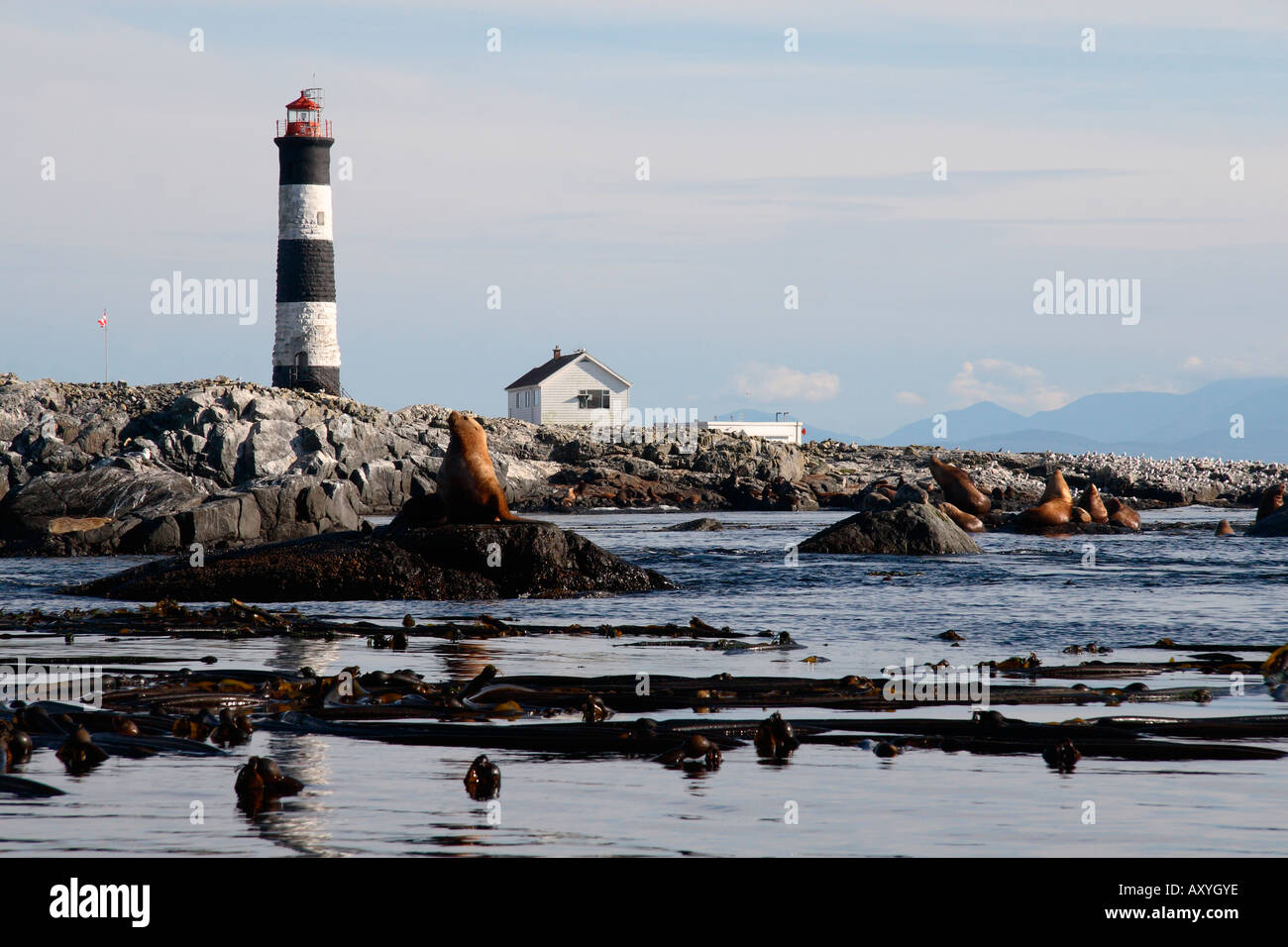 Race rocks hi-res stock photography and images - Alamy