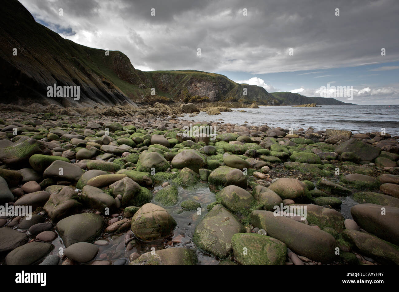 Rocky beach at the foot of the cliffs of St Abbs Head, Berwickshire ...