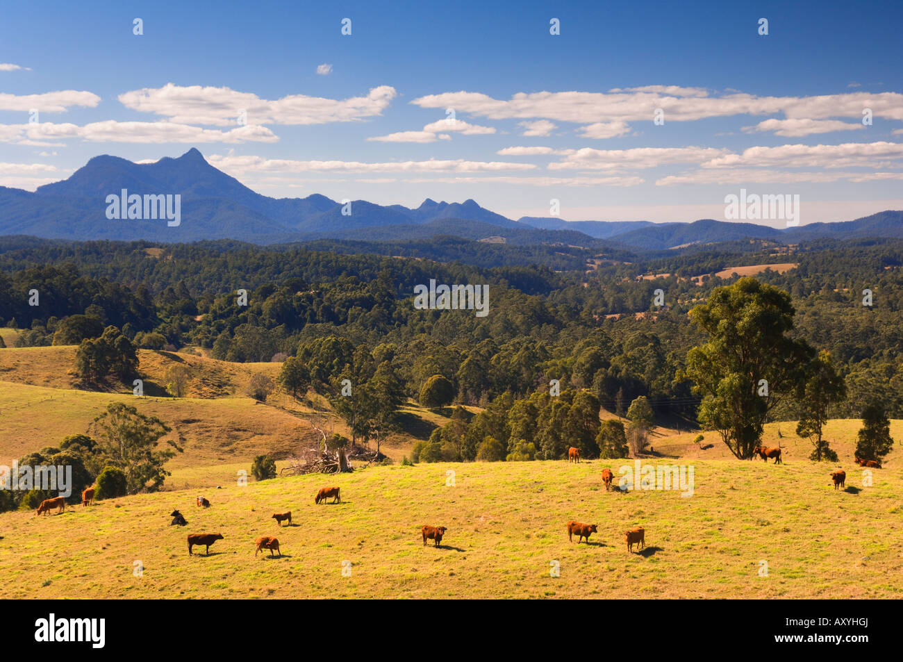 Mount Warning and Tweed Valley, New South Wales, Australia, Pacific ...