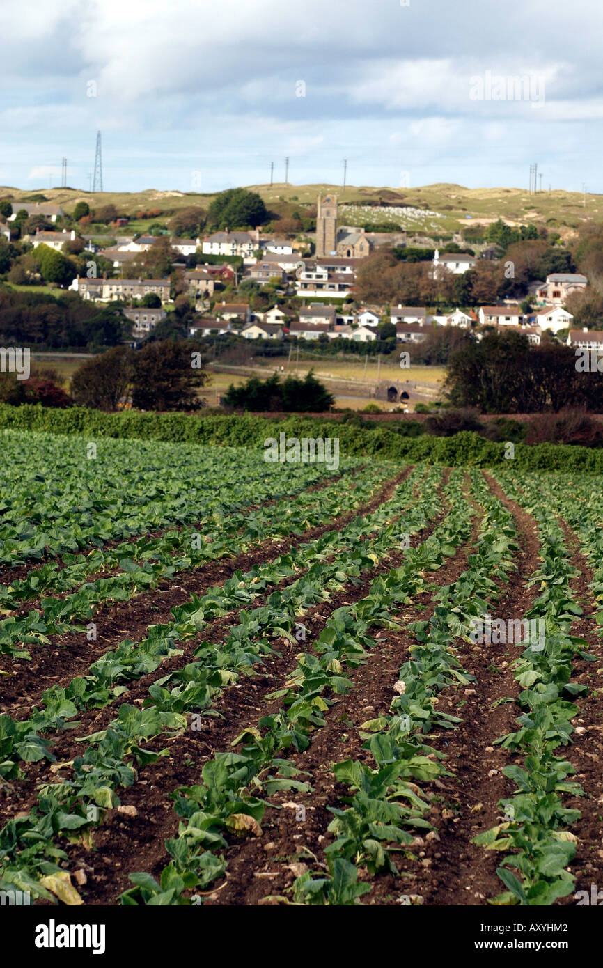 View across farmland to Gwinear Church Hayle Cornwall UK Stock Photo ...