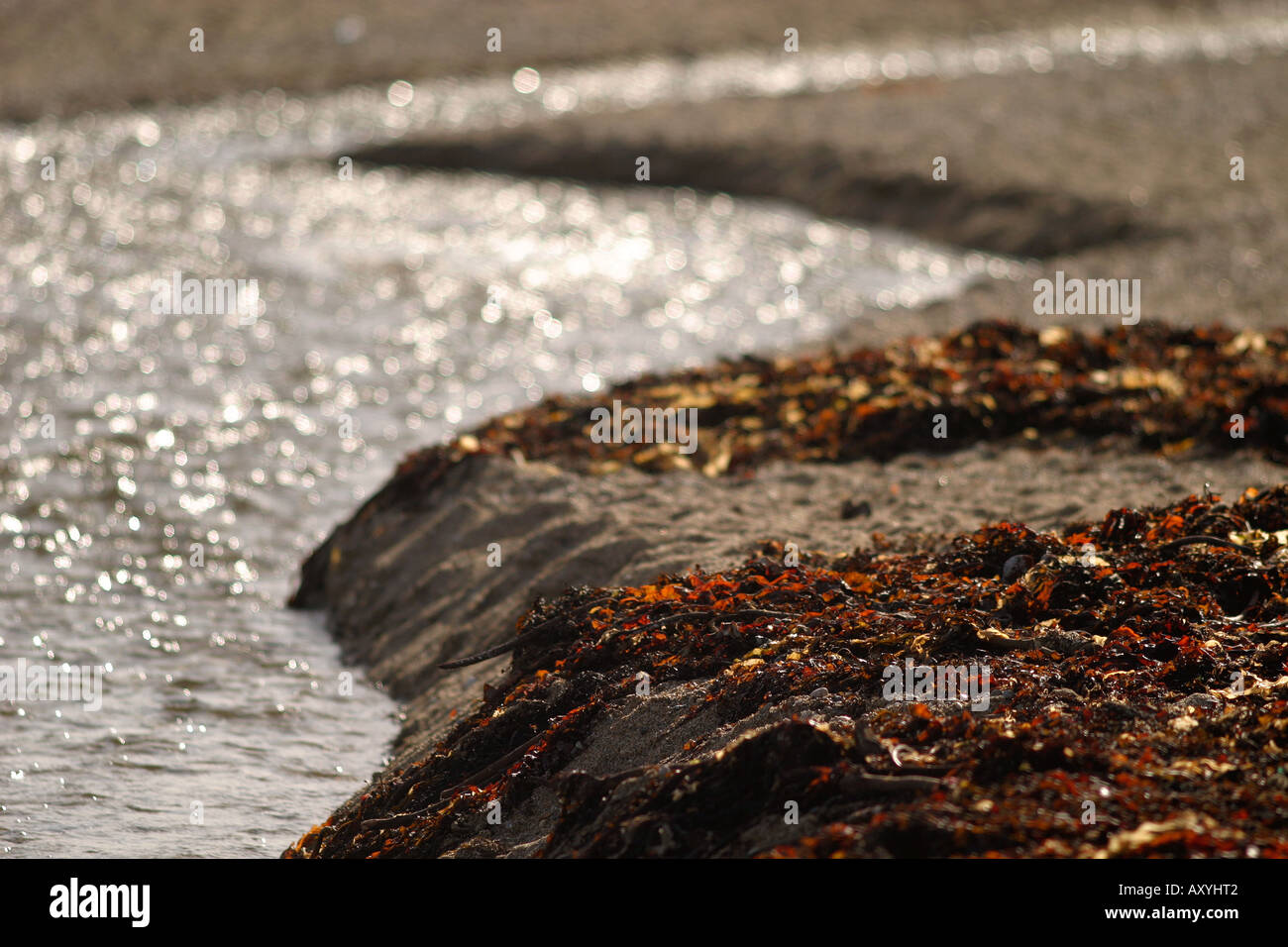 stream flowing out to sea Marazion Cornwall UK Stock Photo - Alamy