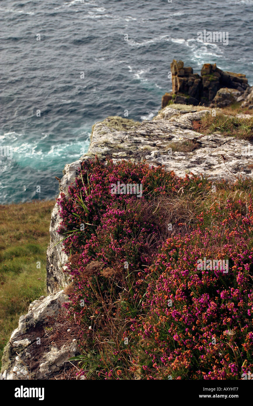 Zennor coastal walk hi-res stock photography and images - Alamy