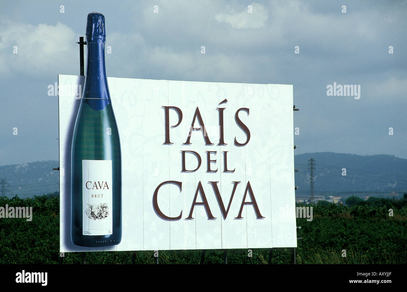 Penedes spain vineyard cava hi-res stock photography and images - Alamy