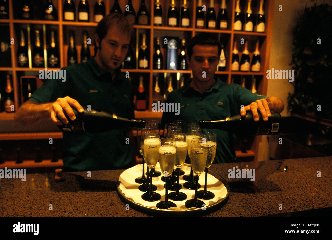 Alt Pened s the wine tasting in the bodega of Freixenet Stock Photo - Alamy