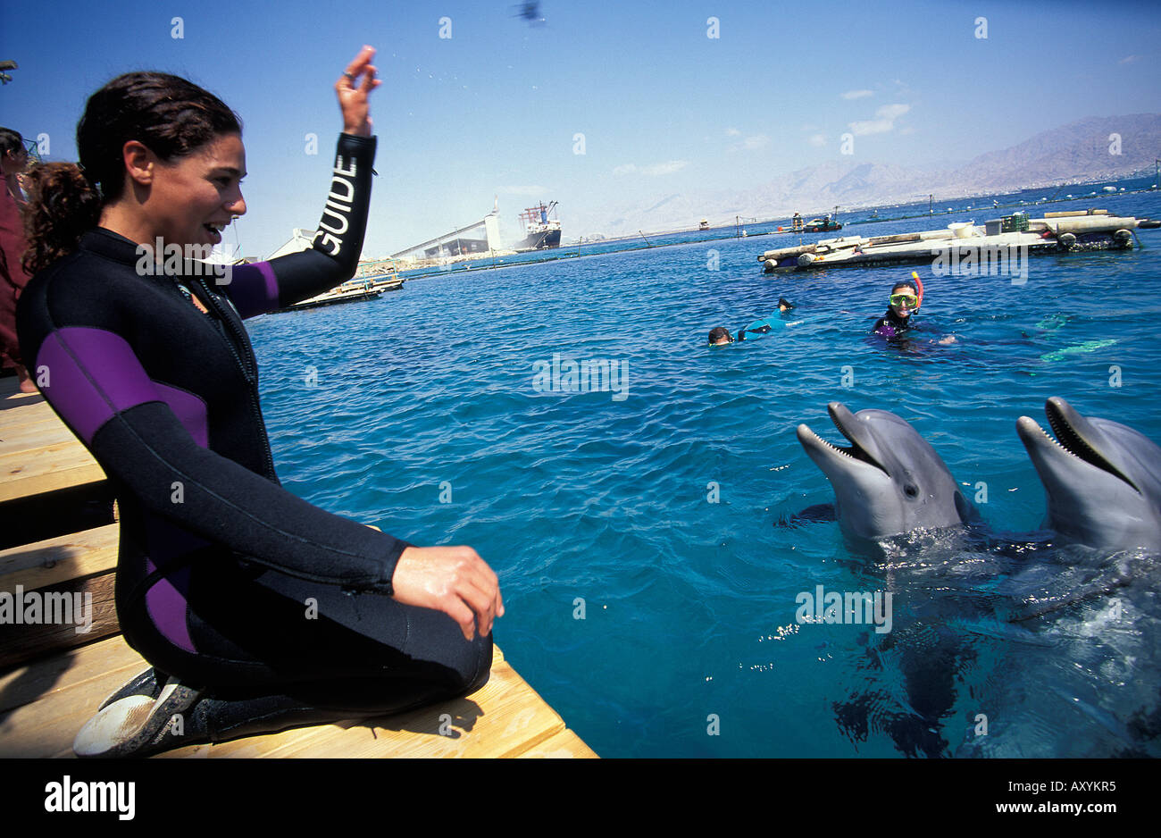 Eilat dolphin trainer Stock Photo - Alamy