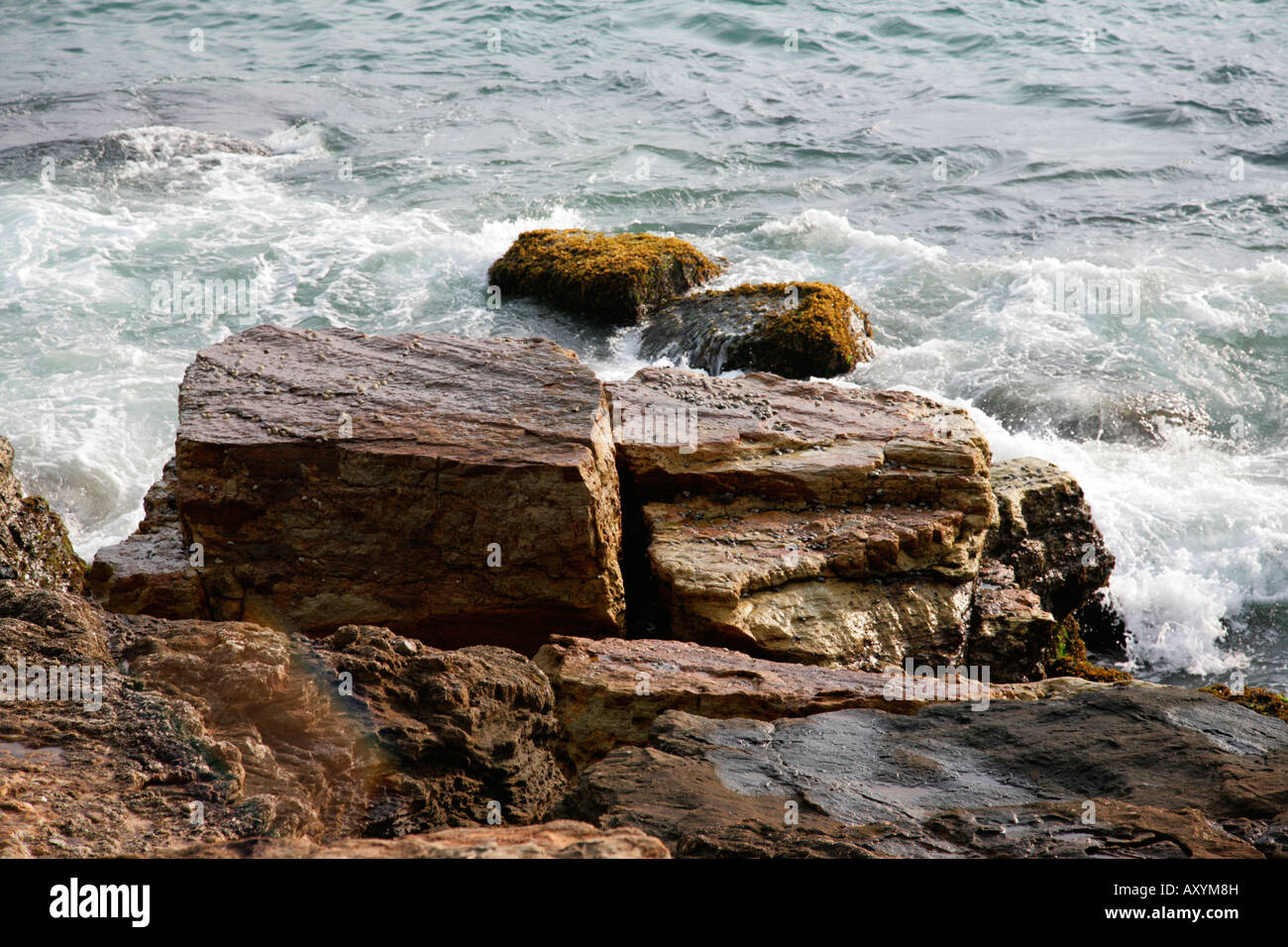 Rocks at the beach Stock Photo - Alamy