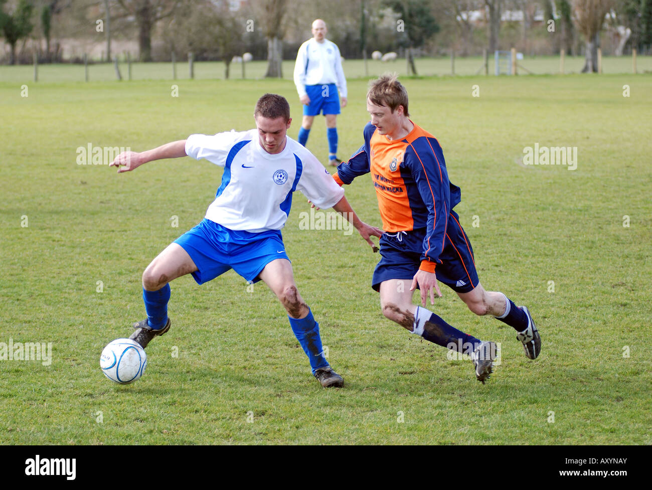 Sunday League football match, UK Stock Photo - Alamy
