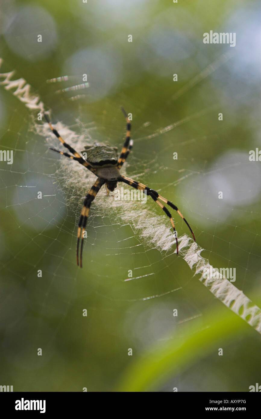 Web valley hi-res stock photography and images - Alamy