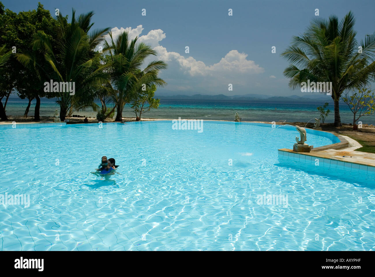 Infinity swimming pool at Gangga Island dive resort near Manado North ...