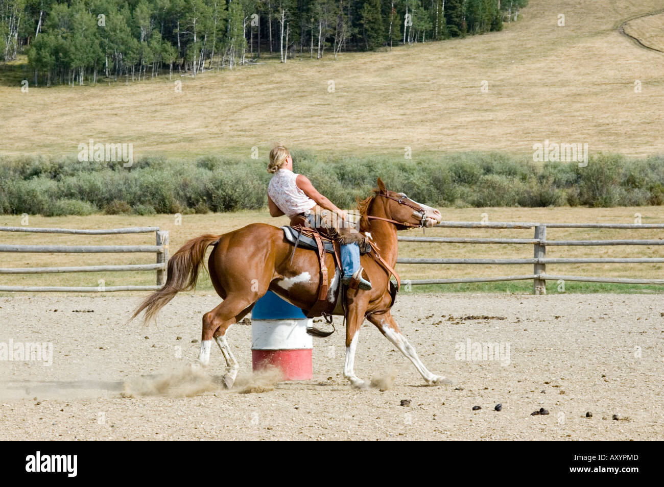 Lady Riding A Horse Stock Photos & Lady Riding A Horse Stock Images - Alamy