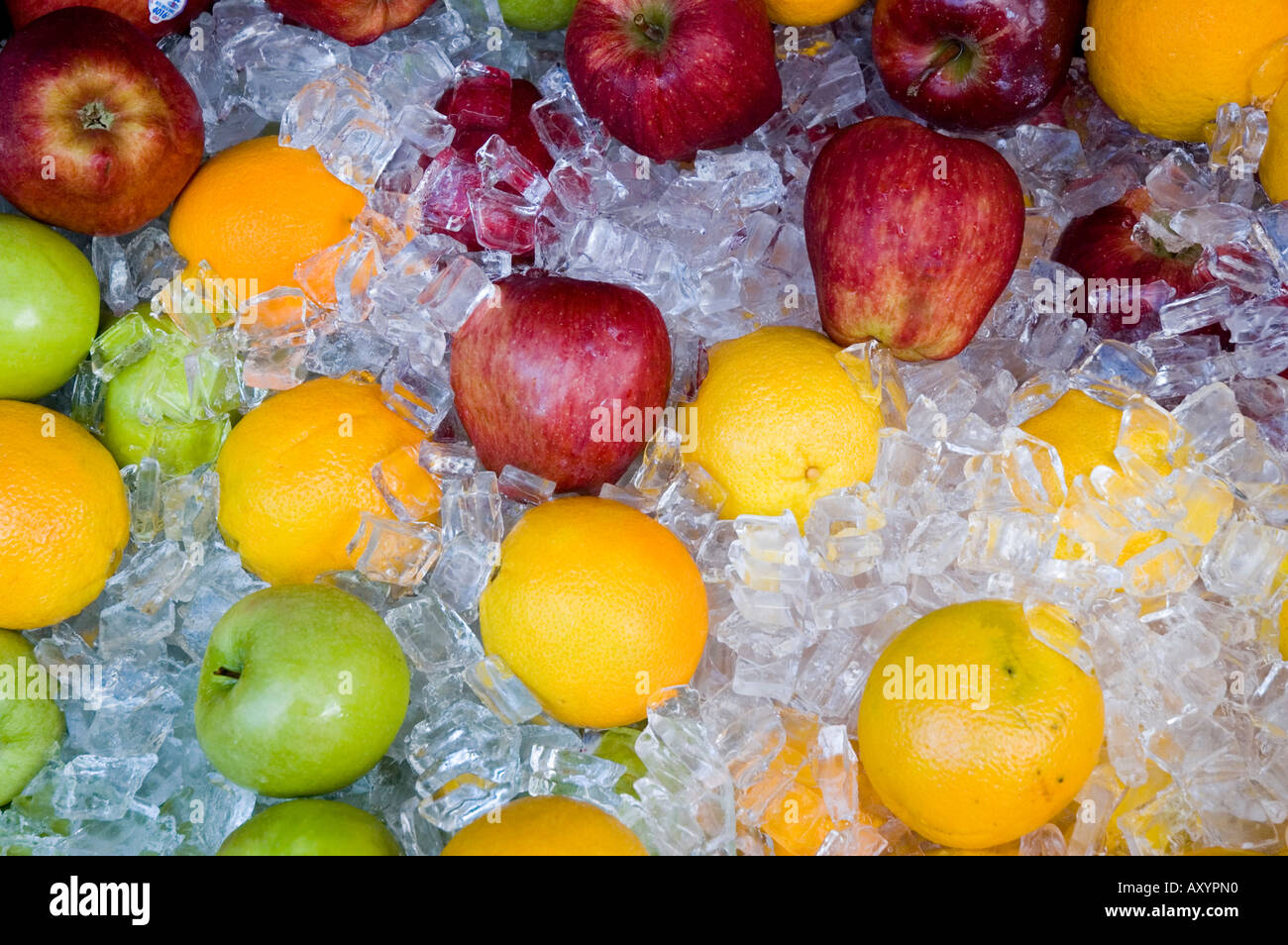 Selection of apples and oranges naturally cooled on ice Stock Photo - Alamy