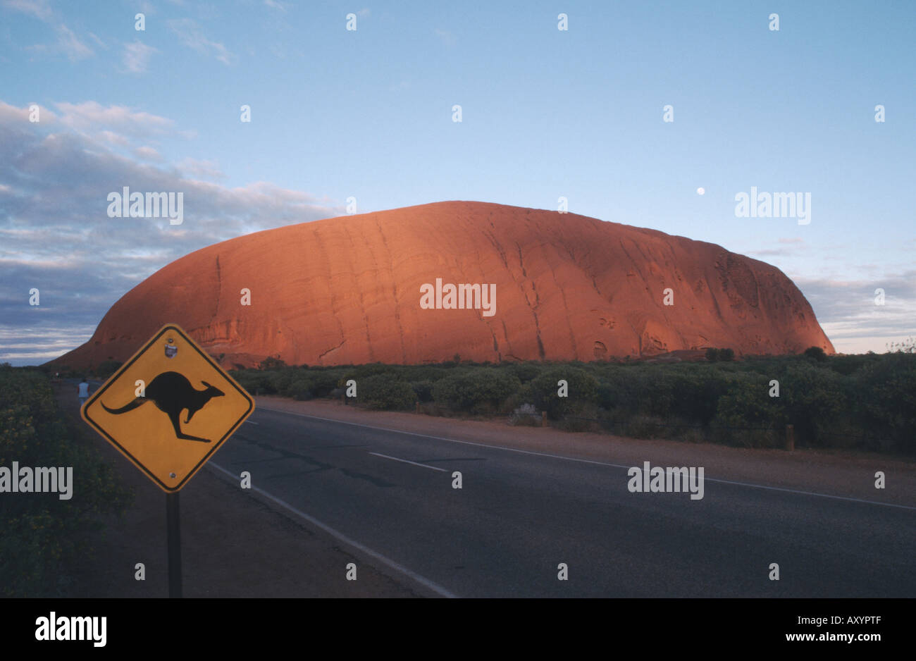 Uluru (Ayers Rock) in morning light with kangaroo traffic sign ...