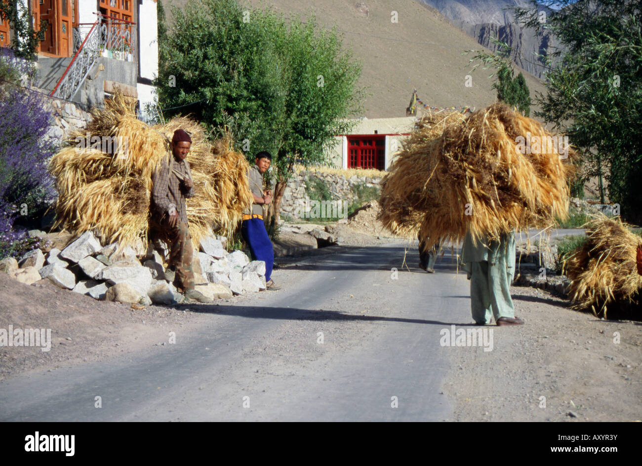 Alchi village hi-res stock photography and images - Alamy