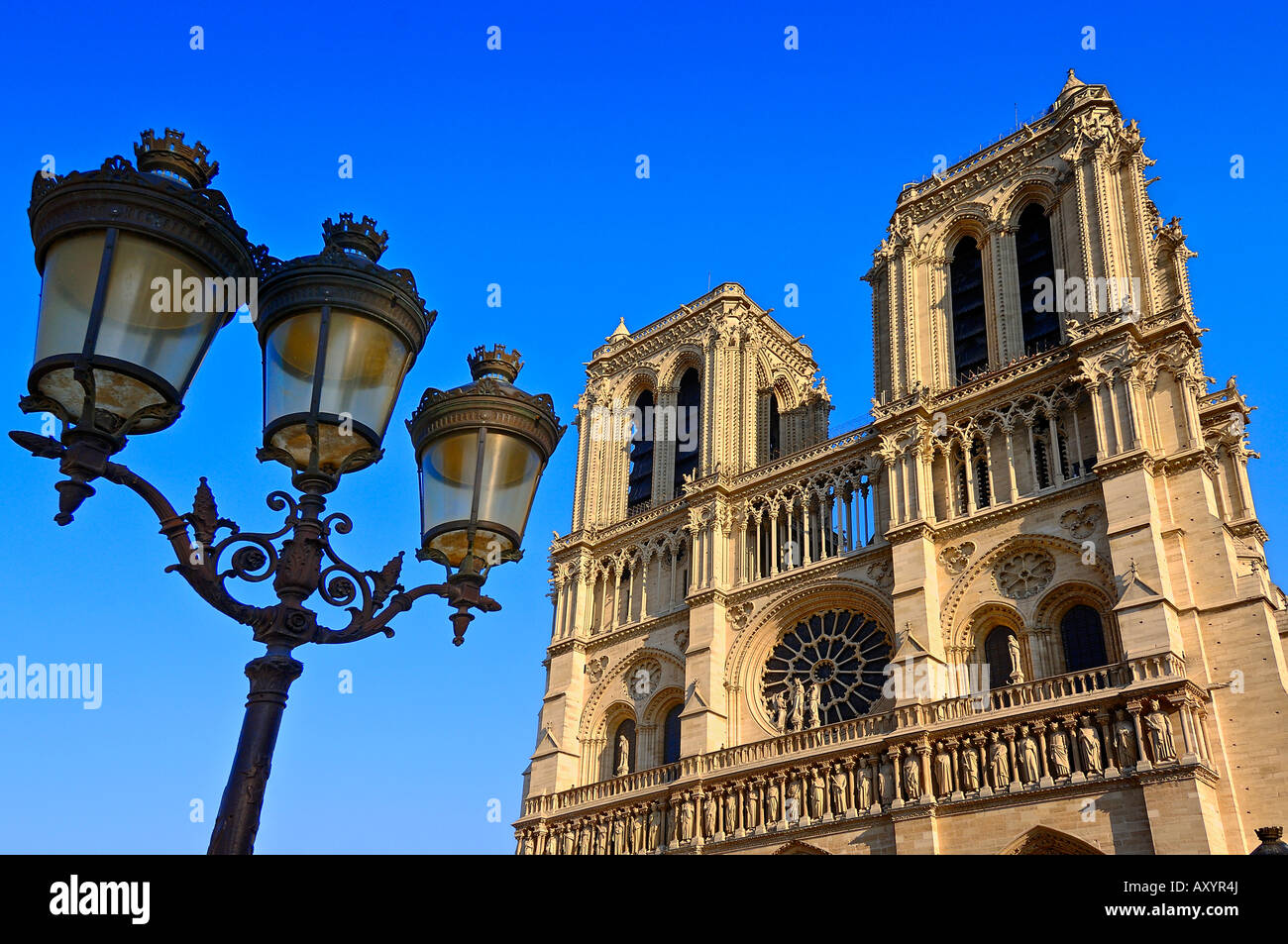 View of the West Front of Notre Dame Cathedral, with street lights, in ...