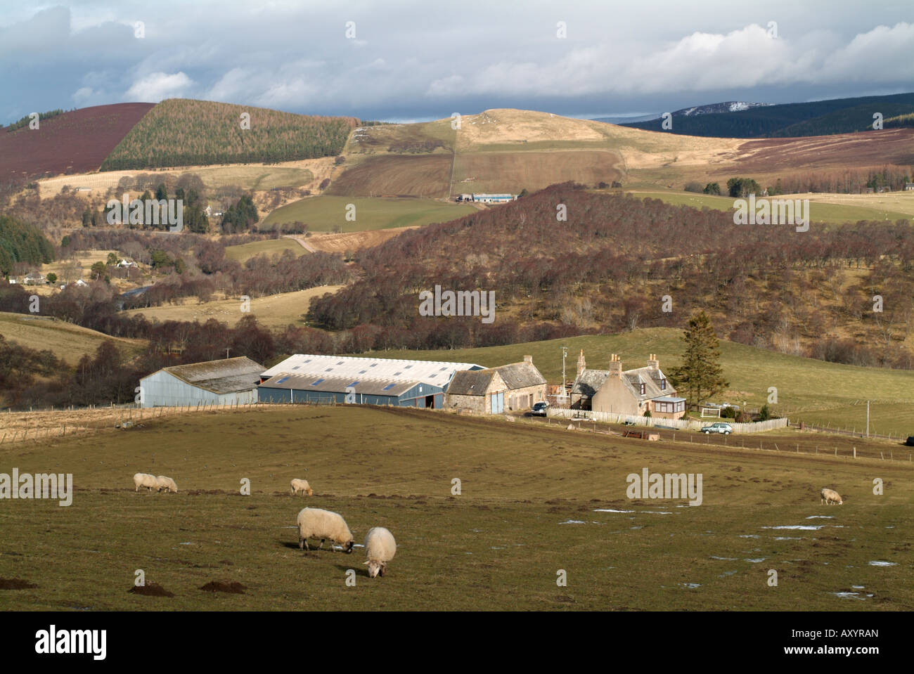 At the avon valley country park hi-res stock photography and images - Alamy