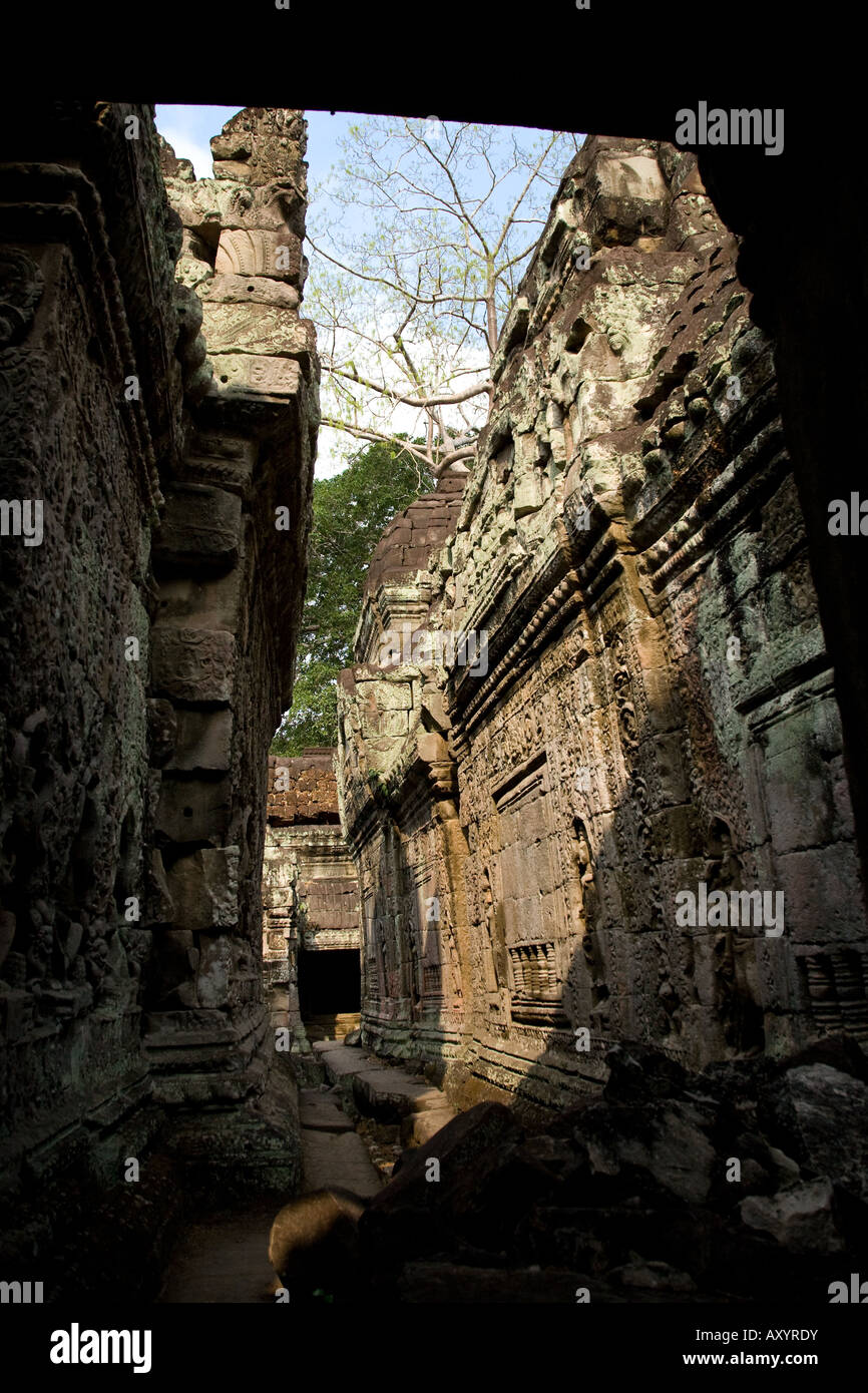 Stone corridors engraved with artwork in a Cambodian Temple near Angkor ...