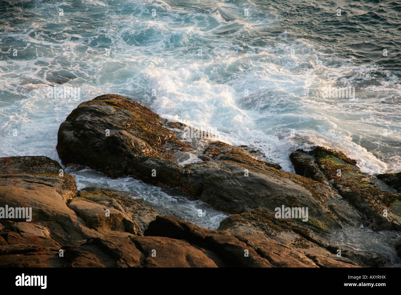 Rocks at kovalam beach,india Stock Photo - Alamy