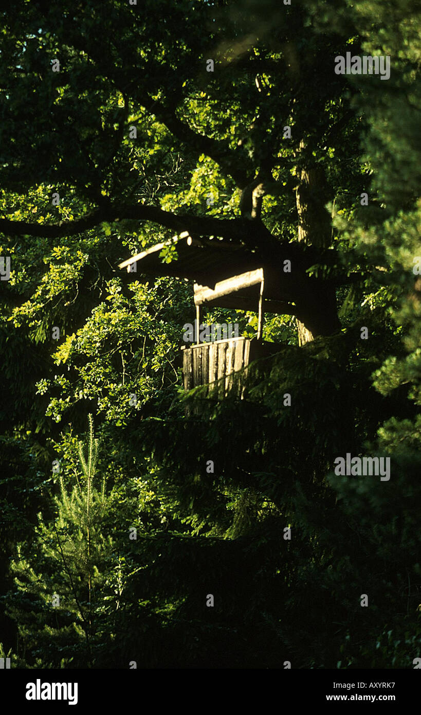 Burkhardt hi-res stock photography and images - Alamy