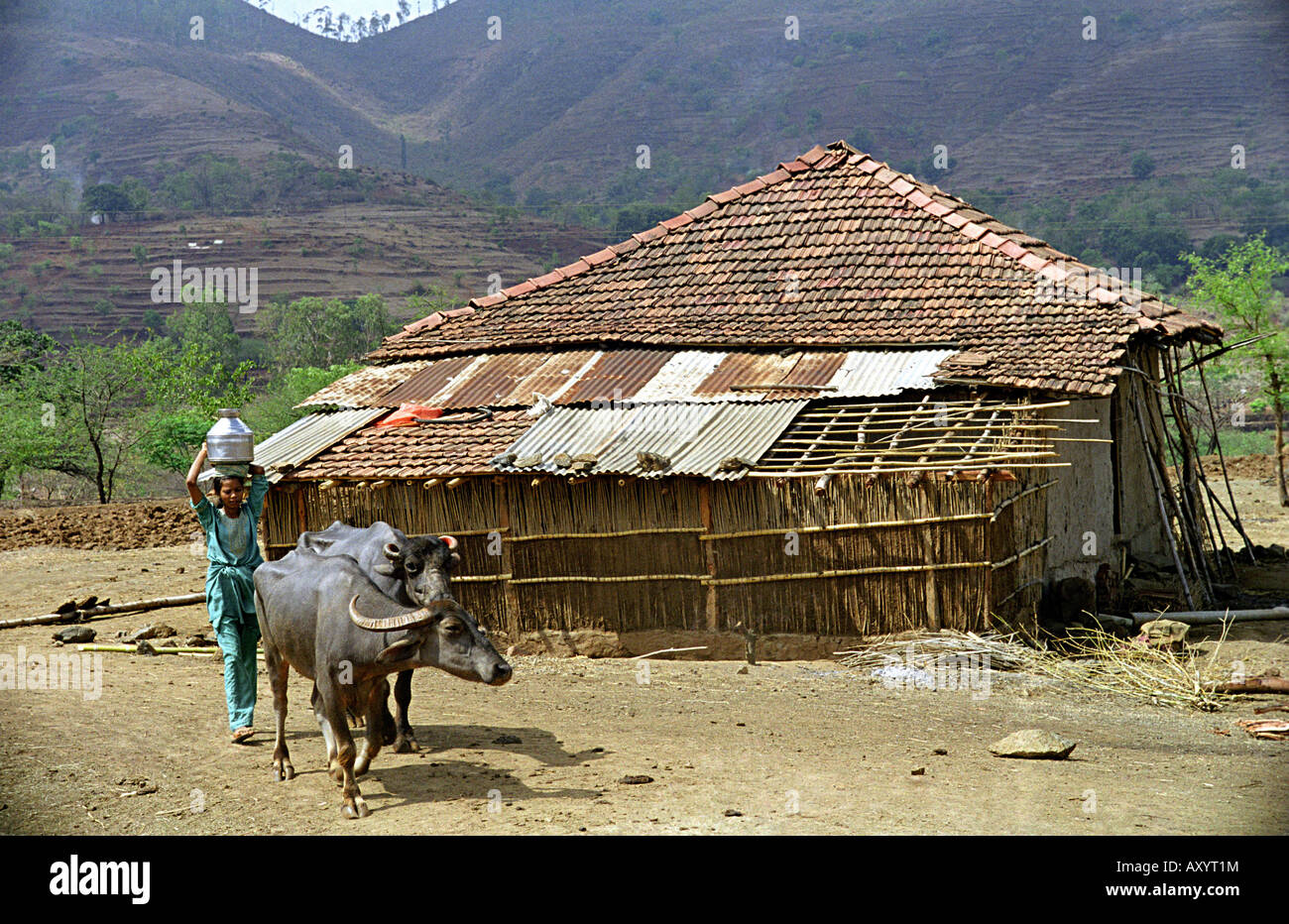 Village near Sinhgad, Pune Stock Photo - Alamy