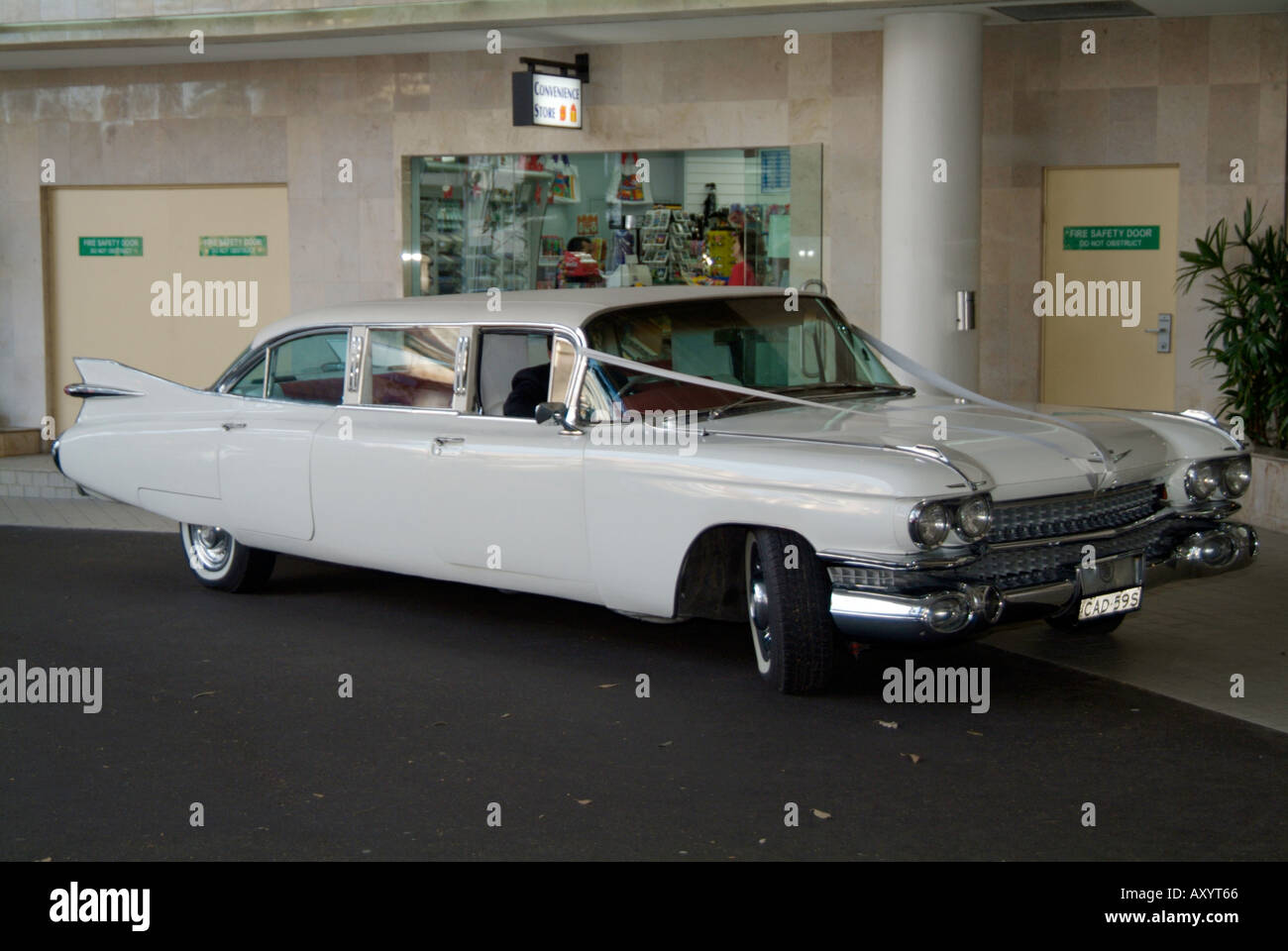 1959, cadillac, limo, limousines, flash, ghosh, vulgar, car, caddy ...