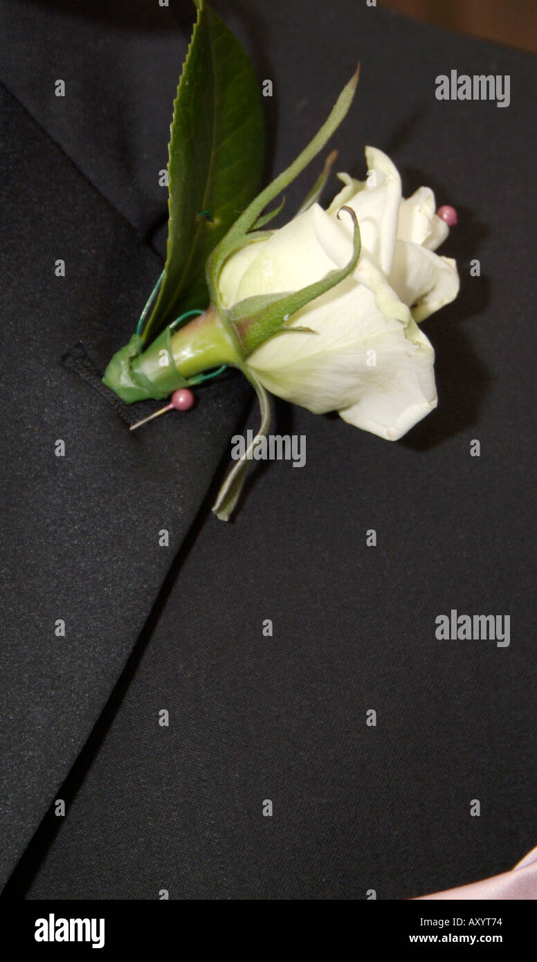 buttonhole, flower, tradition, traditional, suit, rose Stock Photo - Alamy