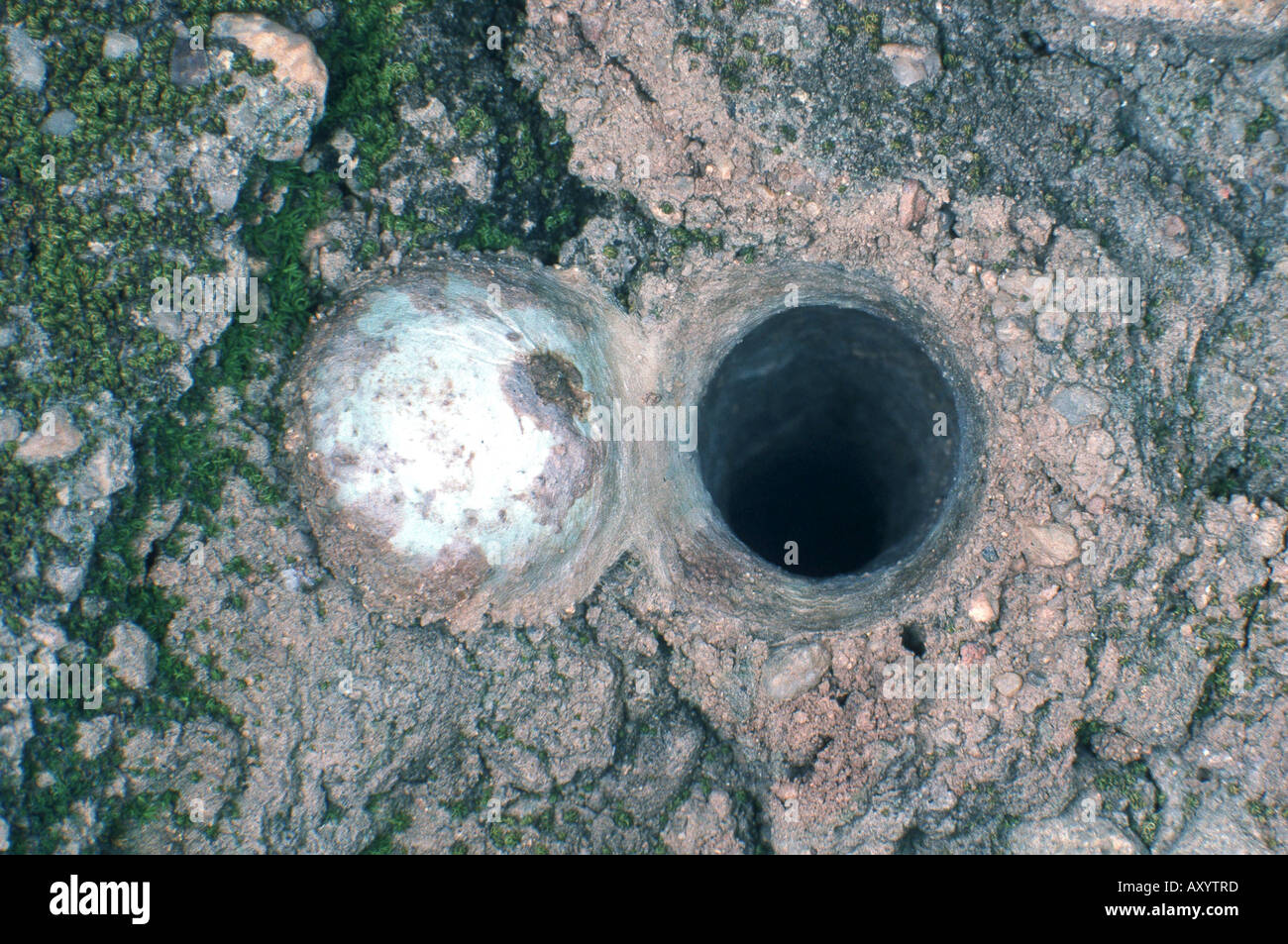 Trapdoor Hole High Resolution Stock Photography and Images - Alamy
