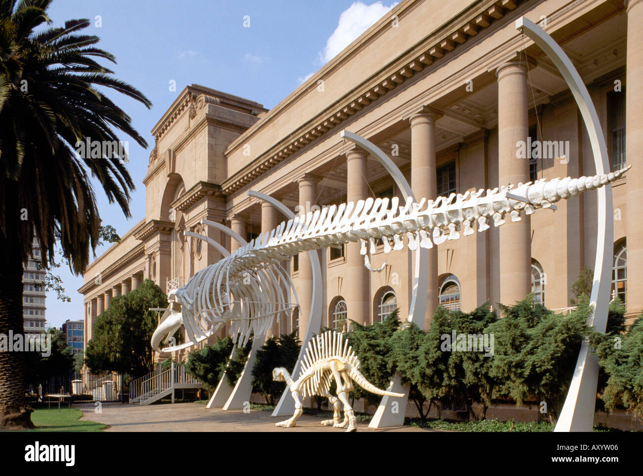 Transvaalmuseum hi-res stock photography and images - Alamy