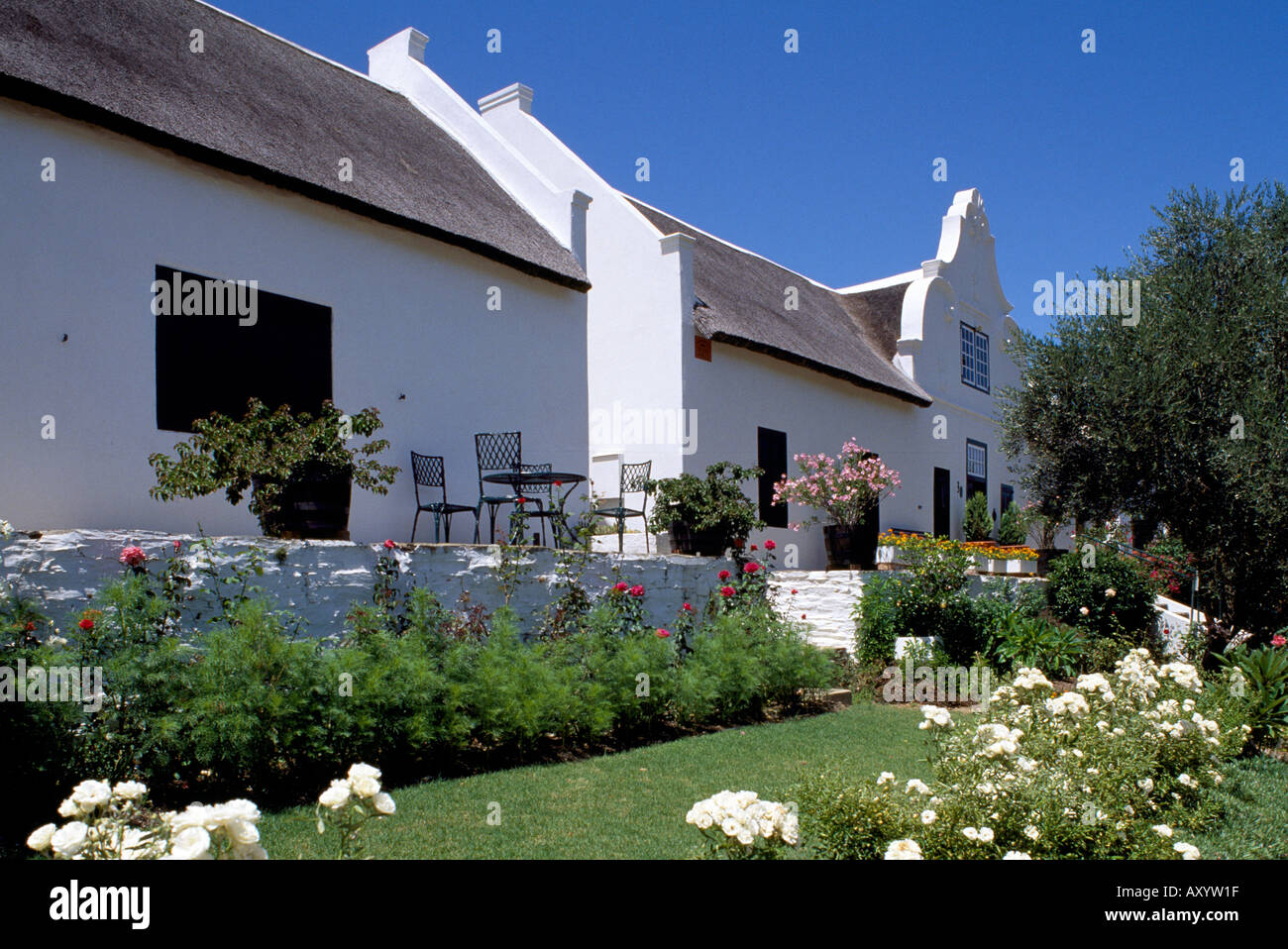 Tulbagh vineyard hi-res stock photography and images - Alamy
