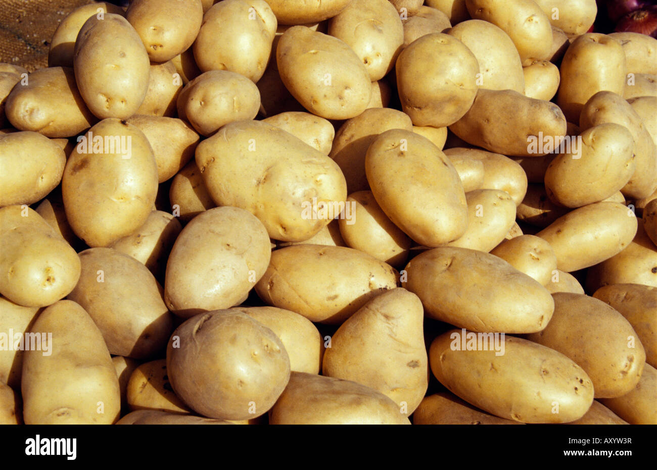 Potatoes, Solanum tuberosum, Bulk in Market Stock Photo - Alamy