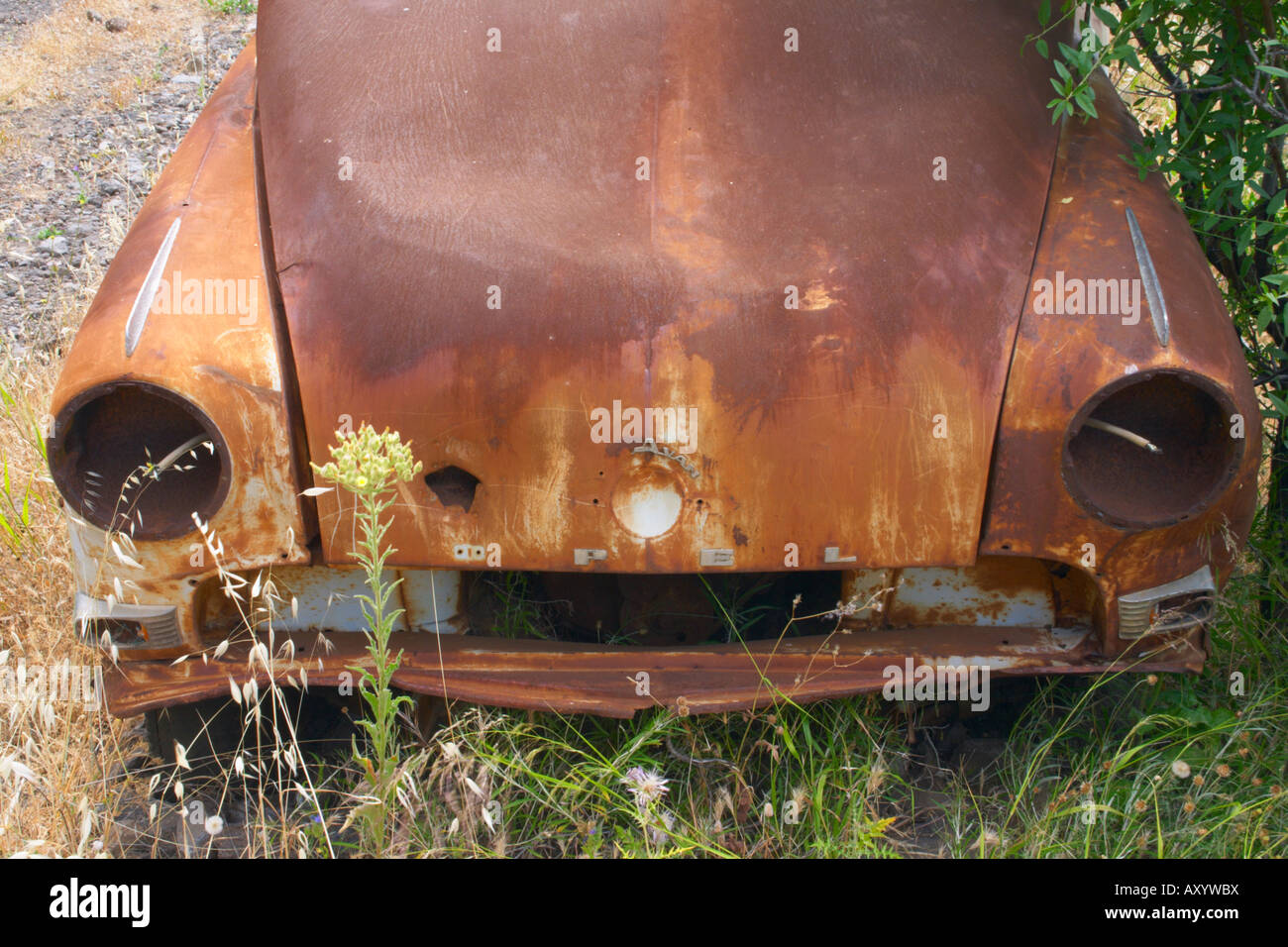 Rusting abandoned car in field Stock Photo - Alamy