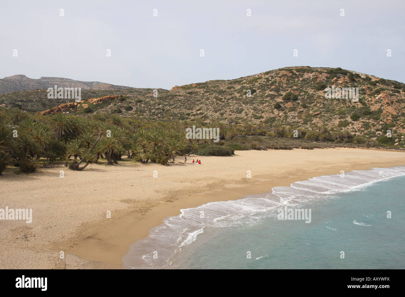 sandy beach and palm trees at Vai, Crete, Greece, Europe. Photo by ...