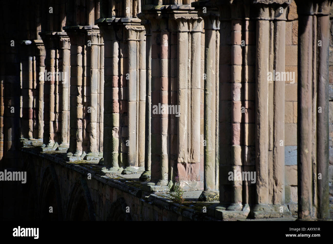 Upper borders hi-res stock photography and images - Alamy