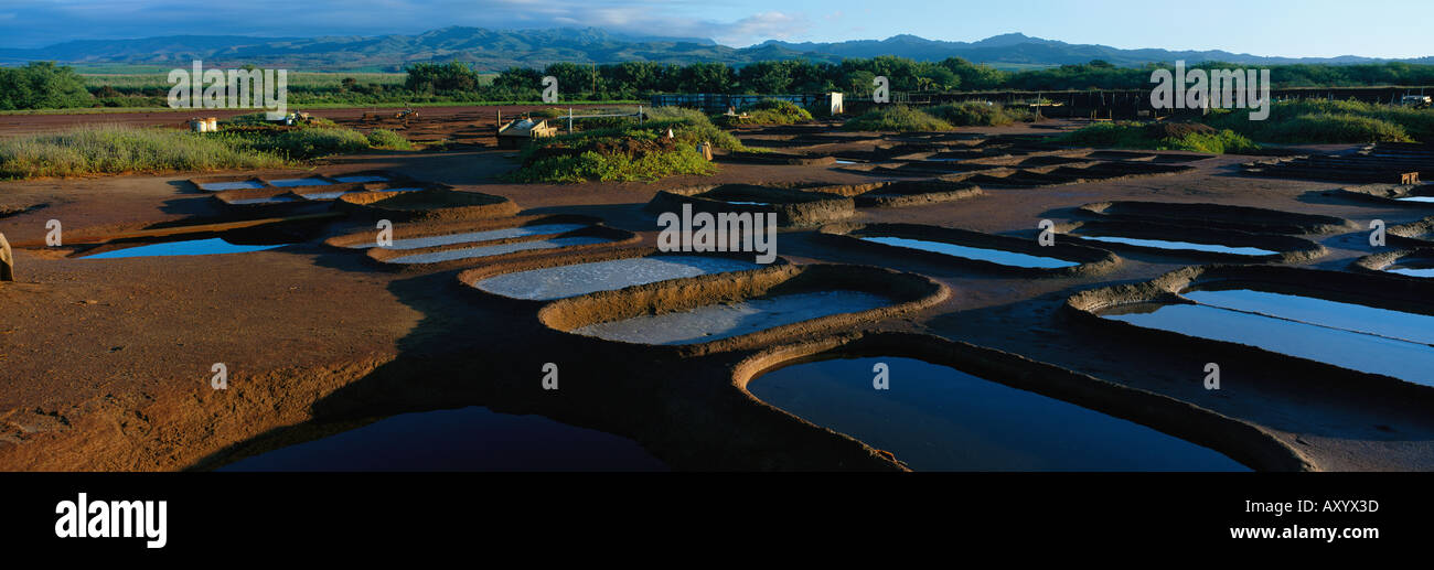 Hanapepe salt pond kauai hawaii hi-res stock photography and images - Alamy