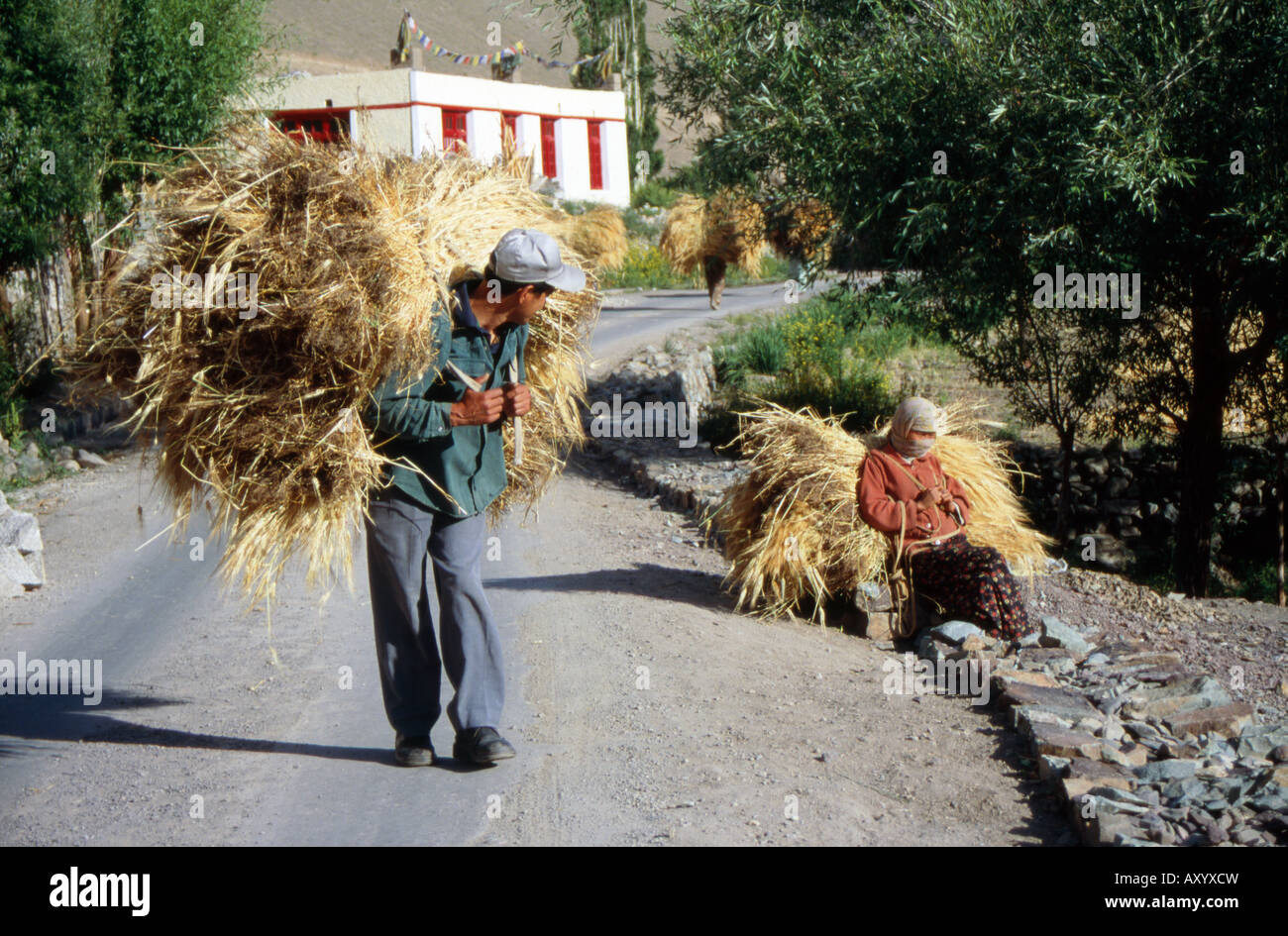 Alchi village hi-res stock photography and images - Alamy