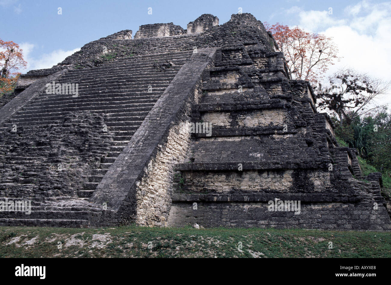 Tikal, Mayatempel der verlorenen Welt, Treppe Stock Photo - Alamy