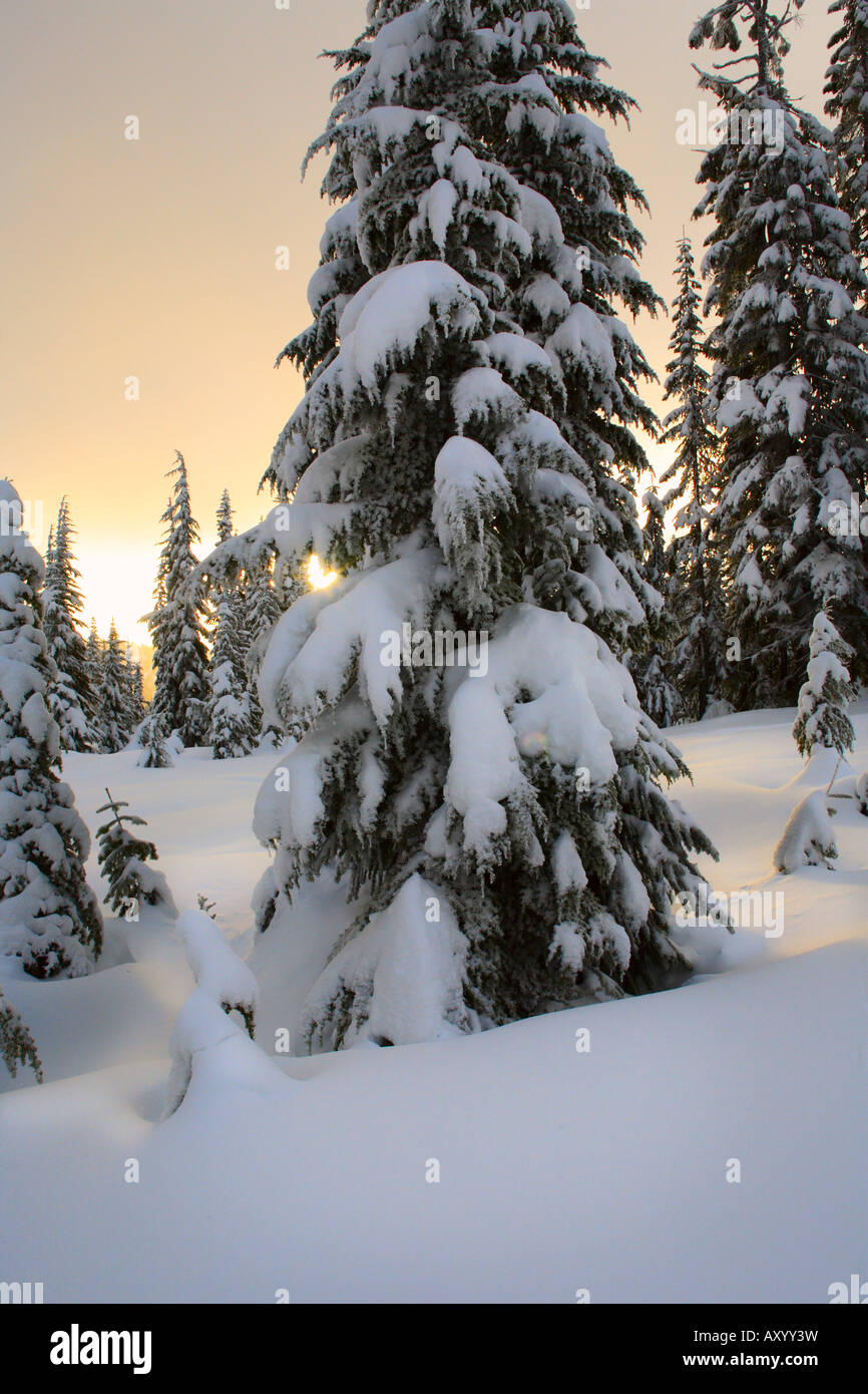 Snowy cascades hi-res stock photography and images - Alamy