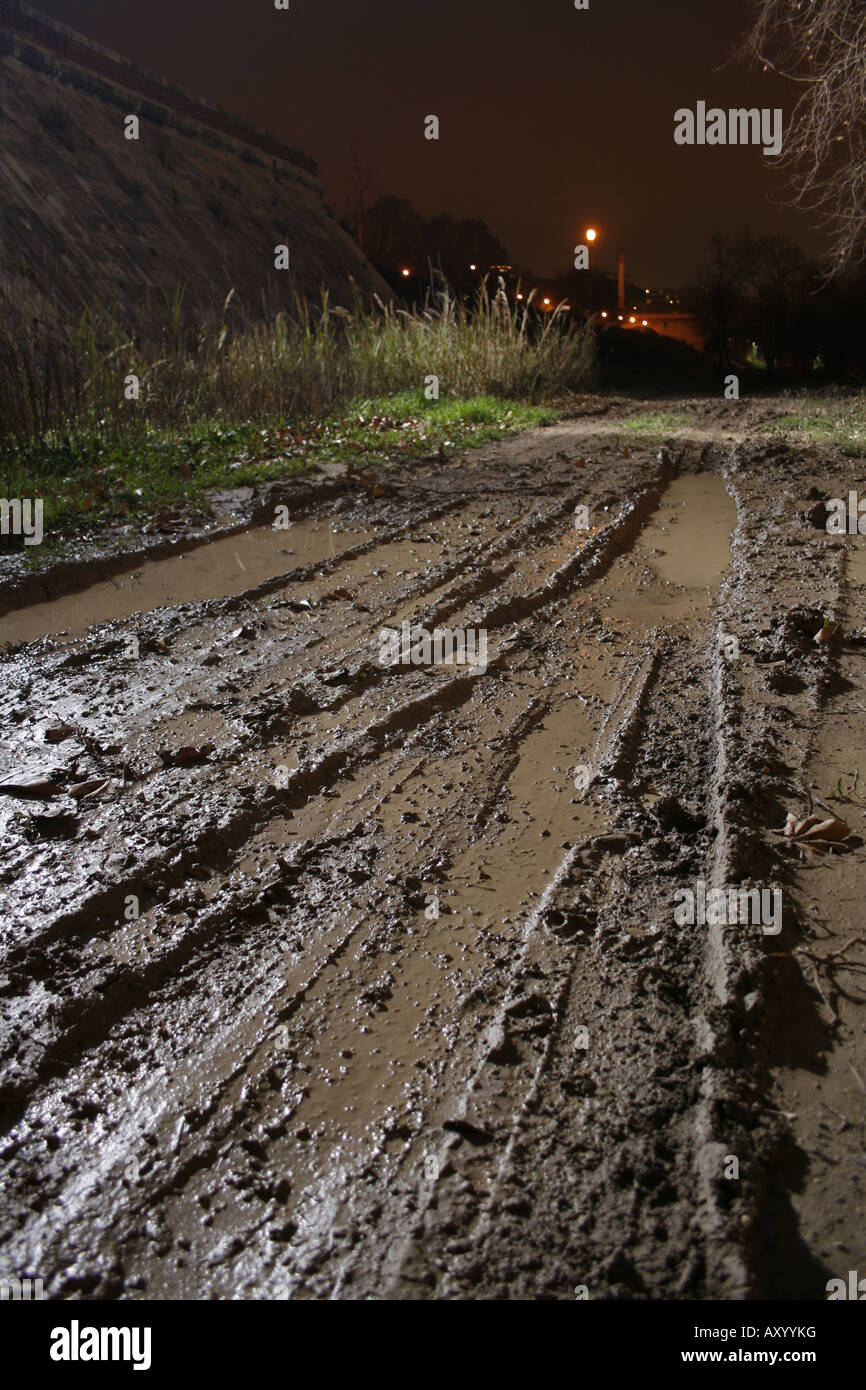 tyre tracks in field at night Stock Photo - Alamy